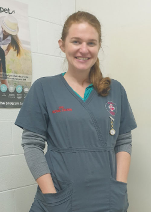 Gatton Veterinary Surgery - 79 Railway St, Gatton - (07) 5462 1343