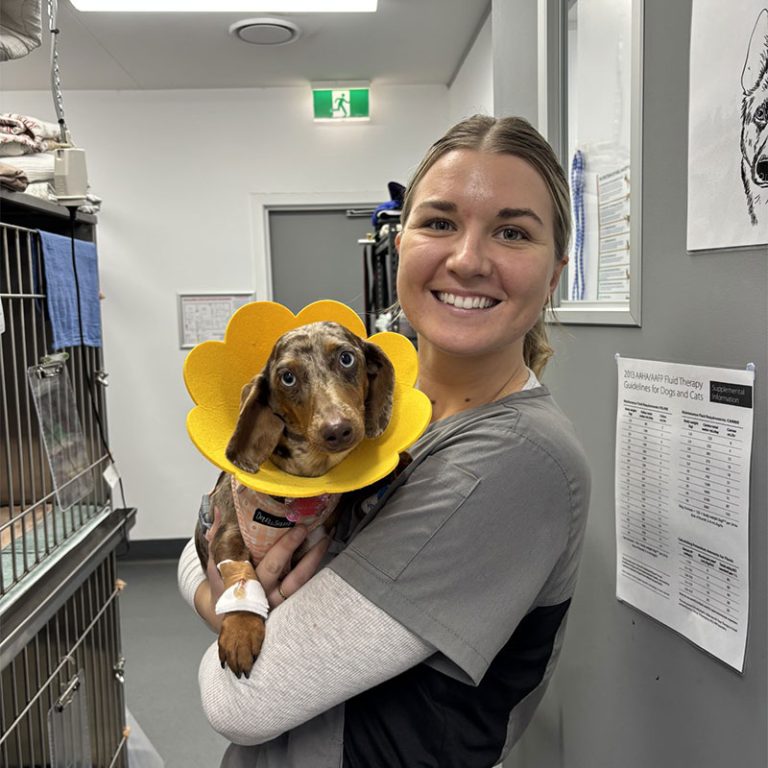 Kate - Gatton Veterinary Surgery